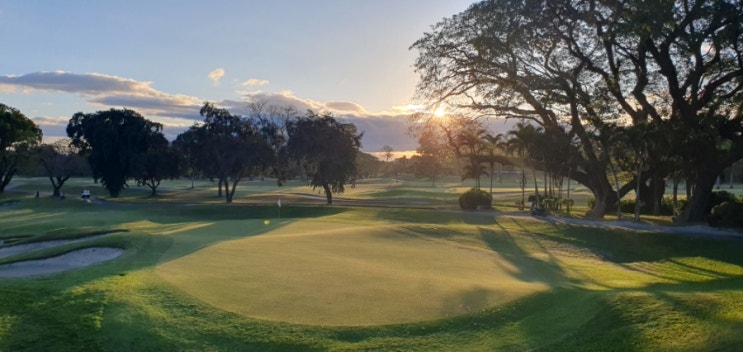 Mimosa Plus Golf Club(미모사 플러스 골프 클럽)-Acacia Lakeview(아카시아 레이크 뷰) 라운딩 후기 ...