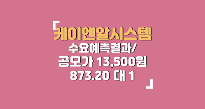 케이엔알시스템 공모가 확정 13500원 좋은 결과 공모주 청약 기관투자자 경쟁률 의무보유확약 청약정보 네이버 블로그