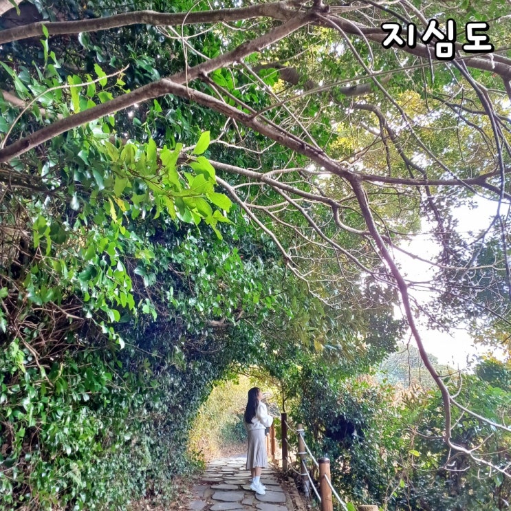 경남 거제 아이랑 가볼만한곳 동백섬 지심도 배편 예약 지심도팡팡 유람선 동백꽃 개화시기 네이버 블로그