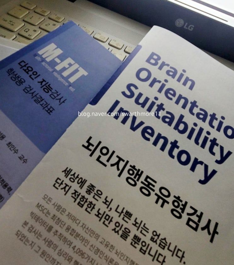 Msc 목동 Msc 브레인 컨설팅 입학테스트 후기 뇌인지 결과분석 네이버 블로그