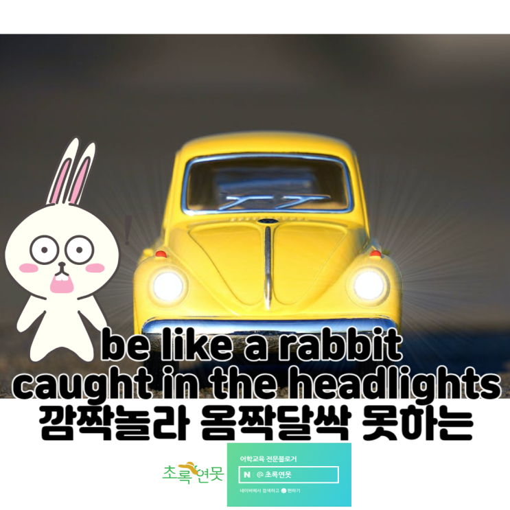 영어스피킹 영어회화 공부 혼자하기 a rabbit/deer in the headlight : 네이버 블로그