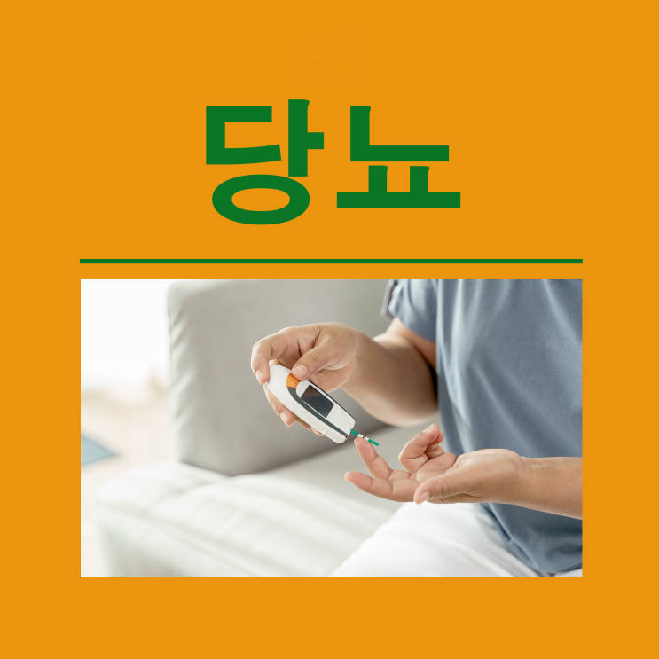 당뇨 뜻 원인 초기 증상 당뇨에 좋은 음식 안좋은 음식 네이버 블로그