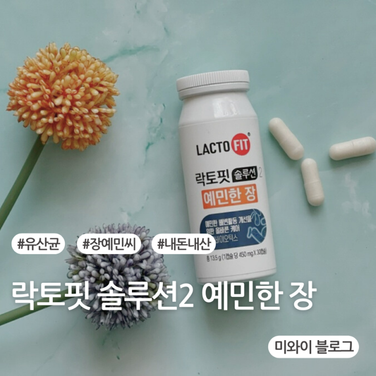 종근당 락토핏 솔루션2 예민한 장 장예민 유산균 추천 내돈내산 7개월 후기 네이버 블로그