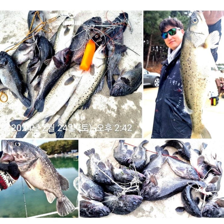 인천 바다낚시 봄수온 오르면서 활성도 살아난 우럭과 농어 더욱 재밌는 바다루어낚시터 At 선재낚시공원 네이버 블로그