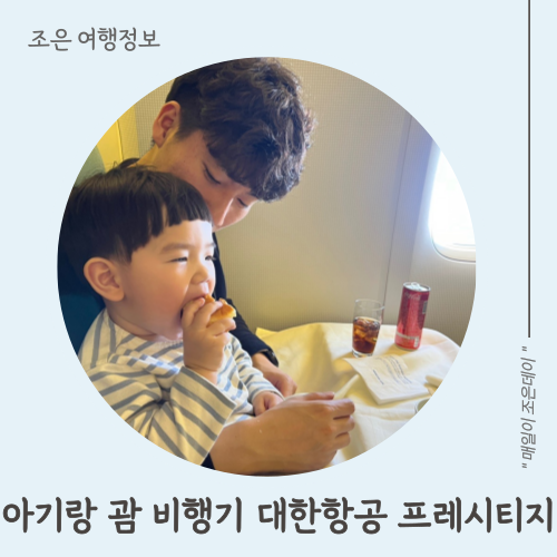 아기랑 괌 비행기 대한항공 프레스티지 라운지 좌석 지정 기내식 유모차 네이버 블로그