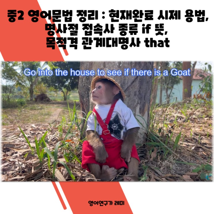 중학 영어문법 정리 현재완료 시제 용법 명사절 접속사 종류 If 뜻 목적격 관계대명사 That 네이버 블로그