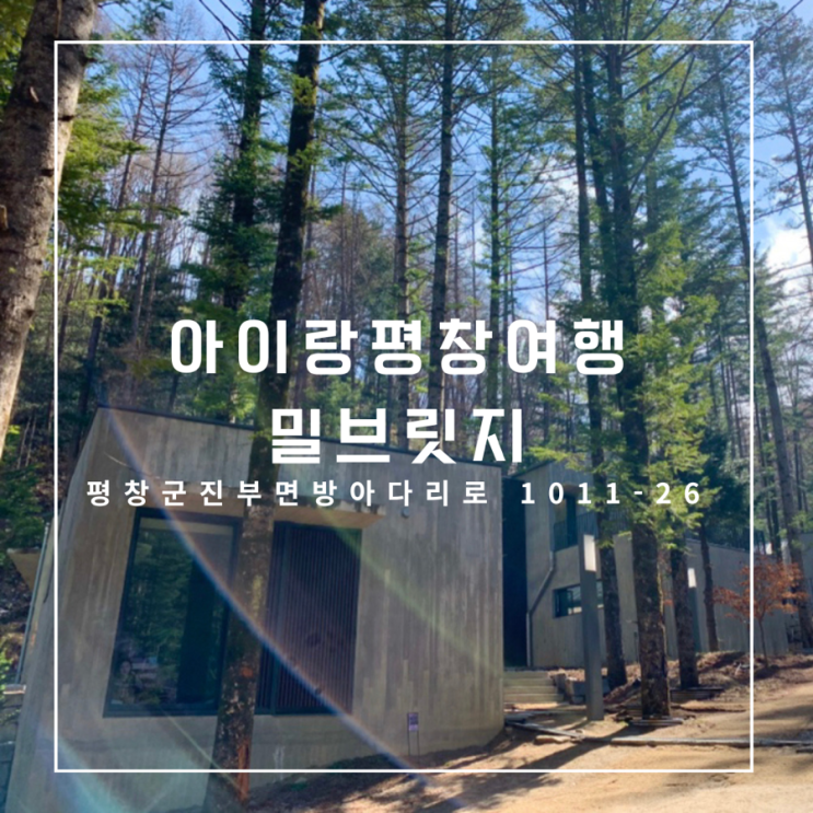 아이랑 평창여행 전나무숲에서 힐링을💚 밀브릿지 예약방법 후기 등 네이버 블로그
