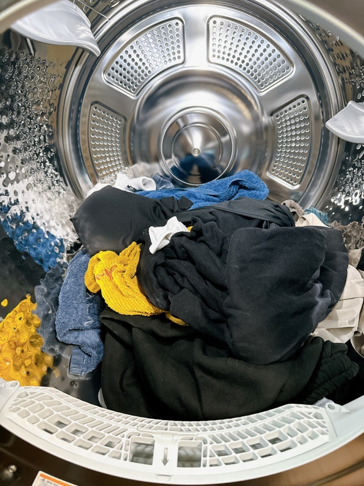 LG전자 트롬 건조기 RG19KN 거실사용후기,장단점 : 네이버 블로그