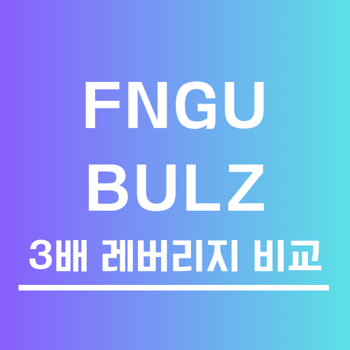 3배 레버리지 FNGU, BULZ 비교 분석.(구성종목과 비중) : 네이버 블로그