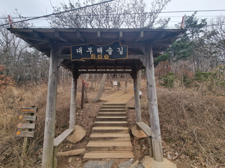 안산 대부 해솔길 1코스 구봉도 공영주차장 구봉이 천연물 약수터 개미허리 아치교 구봉도 낙조 전망대 구봉도