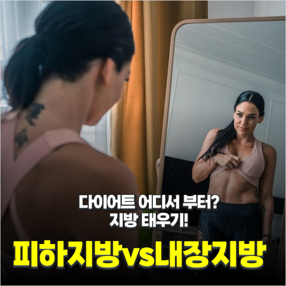 여자 피하지방 빼는법 복부 피하지방 내장지방 구분 피하지방 원인 지방 빼는법 네이버 블로그