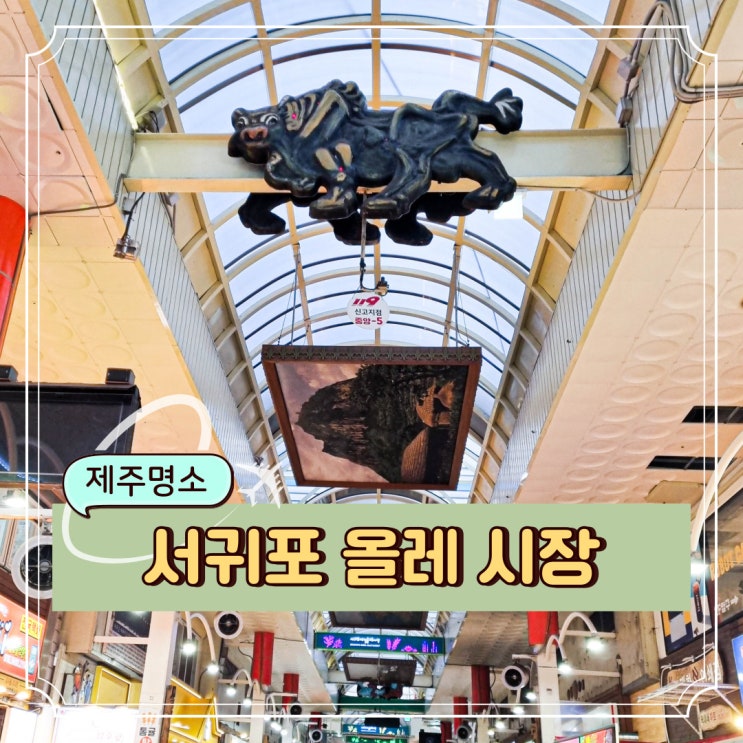 제주 서귀포 매일 올레시장 구경하기 좋은 먹거리 기념품 주차장 정보 포함 네이버 블로그