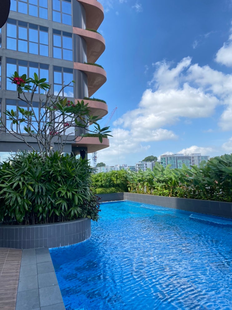 싱가포르 호텔 숙소 추천(Citadines Rochor) : 네이버 블로그