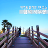 제주도 함덕 서우봉 유채꽃 주차 제주도 둘레길 코스 완주 네이버 블로그