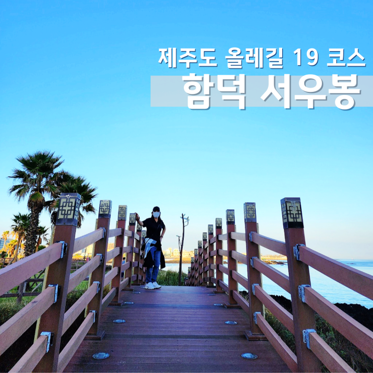 제주도 함덕 서우봉 유채꽃 주차 제주도 둘레길 코스 완주 네이버 블로그