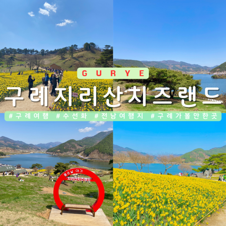 구례 지리산치즈랜드 수선화 명소 전남 여행지 가볼만한곳 네이버 블로그