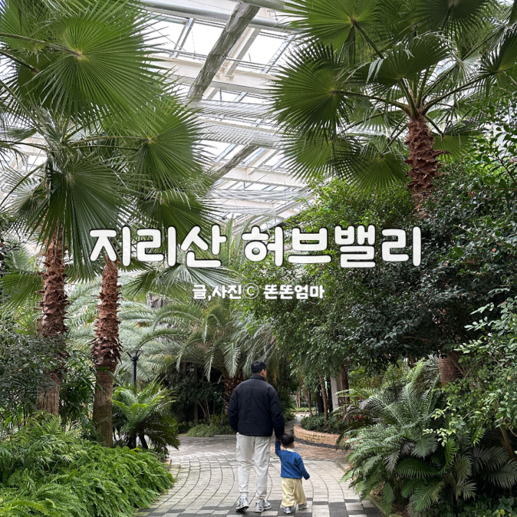 남원 지리산 허브밸리 키즈존 열대식물원 주차장 총정리 네이버 블로그