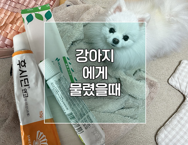 강아지에게 물렸어요 물렸을때 대처방법 개물림사고 네이버 블로그