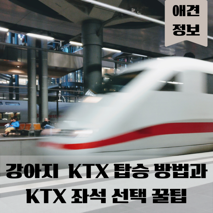 KTX 강아지 탑승 가능할까? KTX 애견 동반 탑승 방법 및 좌석 선택 추천 : 네이버 블로그
