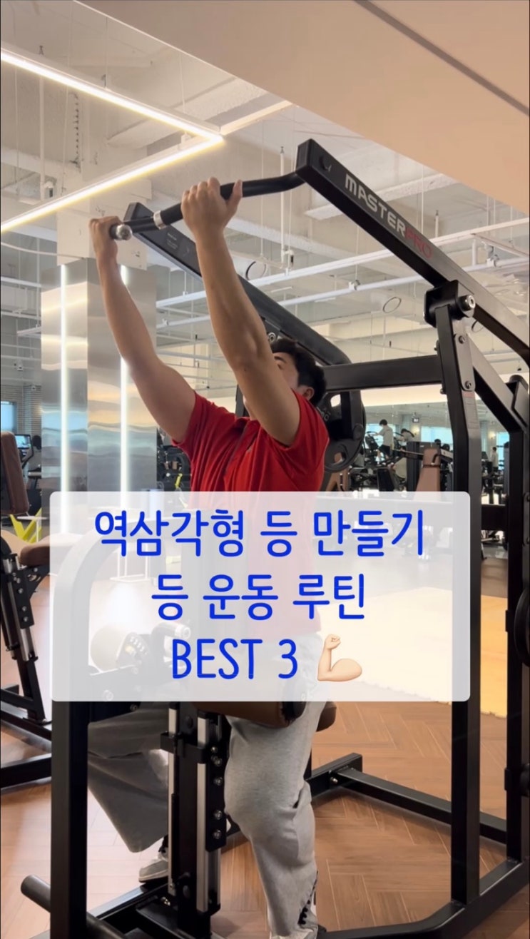이곡헬스장성서헬스장성서헬스장추천 미광스포렉스에서 알려드리는 역삼각형 등 만들기 프로젝트 네이버 블로그