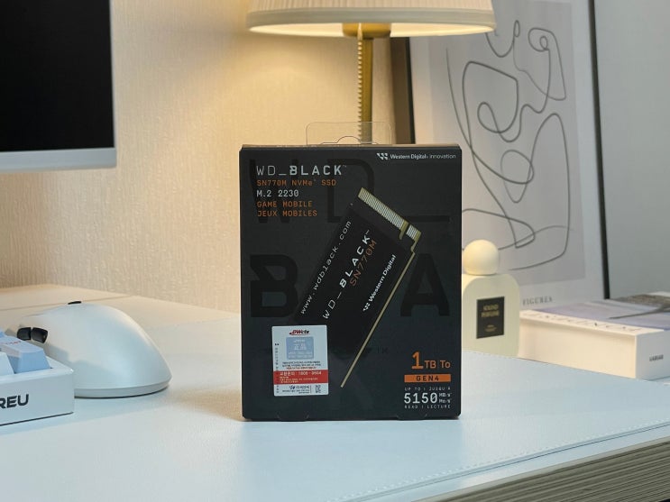 WD BLACK SN770M M.2 2230 NVMe 스팀덱 ROG ALLY 로갈리 1TB SSD 추천 : 네이버 블로그