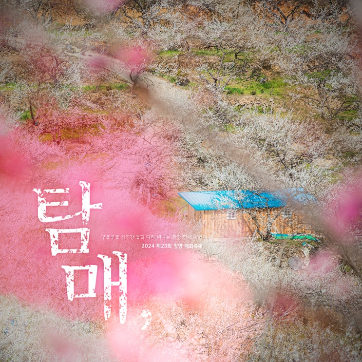 광양매화축제 매화마을 🌸 3월여행지 광양여행 가볼만한곳 매화개화시기 네이버 블로그