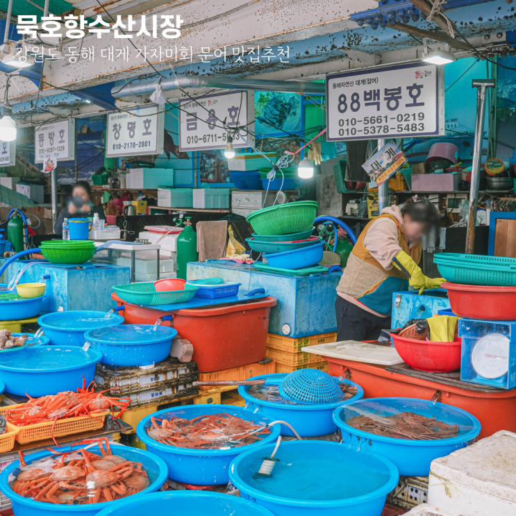 강원도 동해 묵호항 수산시장 대게 가자미회 문어 맛집추천 네이버 블로그
