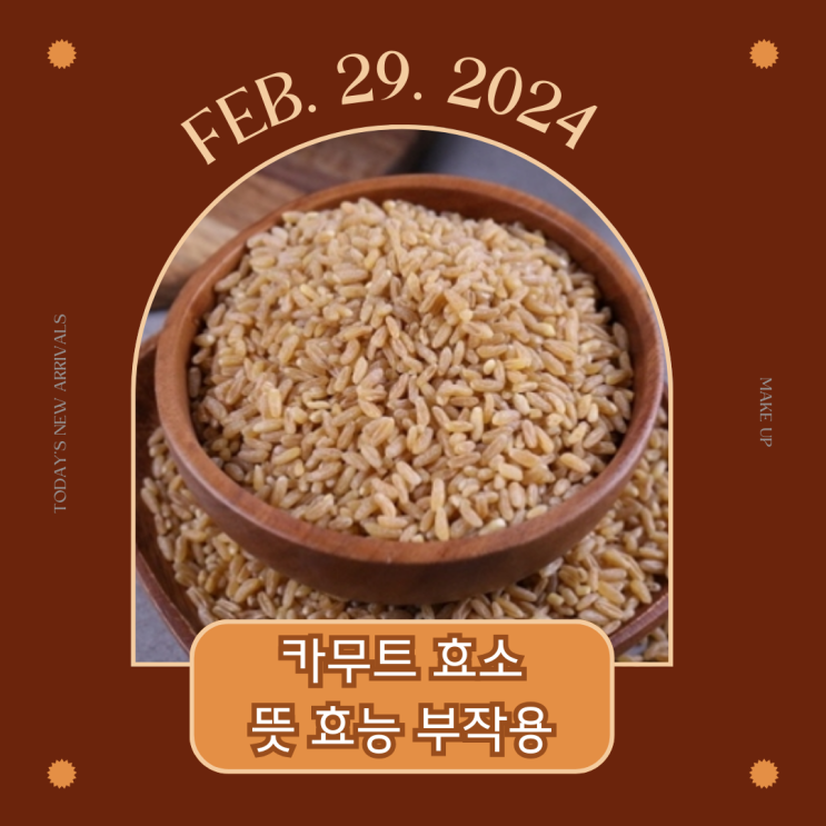 다이어트 혈당에 좋은 카무트 효소 ㅣ 효소 뜻 카무트 효소 호라산 밀 효능 성분 먹는 방법 부작용 네이버 블로그