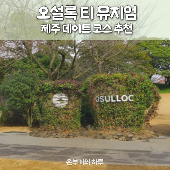 오설록 티 뮤지엄 체험 프로그램 정보 및 제주 데이트 코스 추천 네이버 블로그