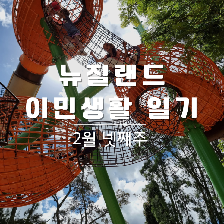 뉴질랜드 이민생활/ 워킹맘 2월 넷째 주/ 장보기/ 주말 풀타임 엄마 : 네이버 블로그