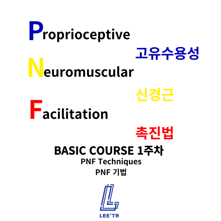 PNF기법 PNF Techniques - PNF BASIC COURSE 1주차 : 네이버 블로그