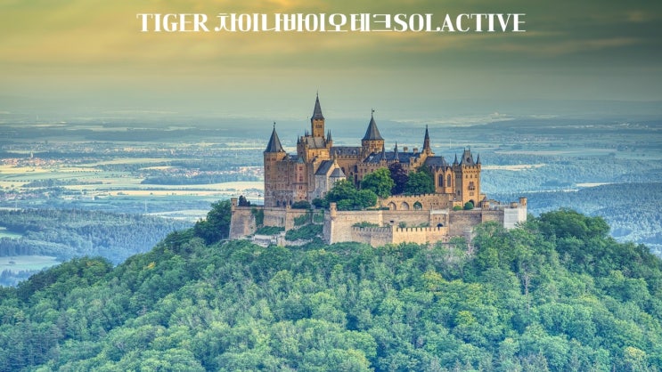 TIGER 차이나바이오테크SOLACTIVE/371470 : 네이버 블로그