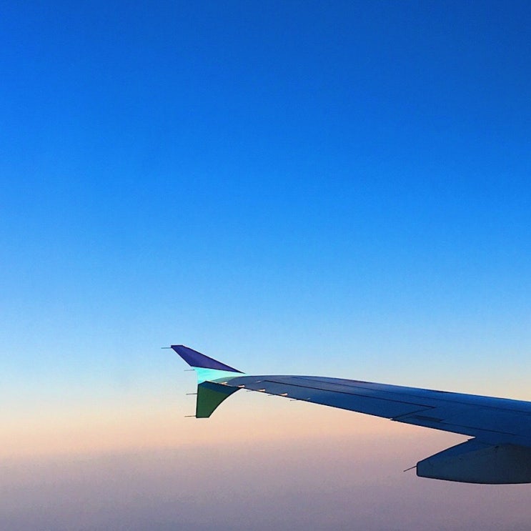 [항공사 종류]FSC,LCC,HSC ,CC 차이점 : 네이버 블로그