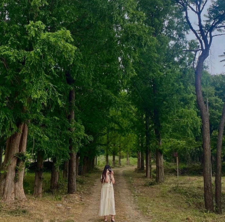 #-6. The Remembering Days : 네이버 블로그