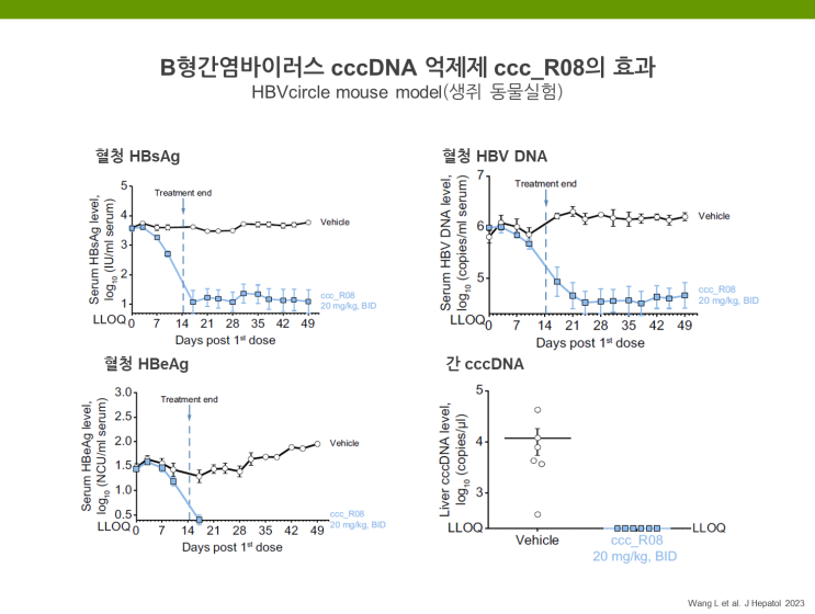 B형간염 완치 치료제 B형간염바이러스 cccDNA 억제제 : 네이버 블로그