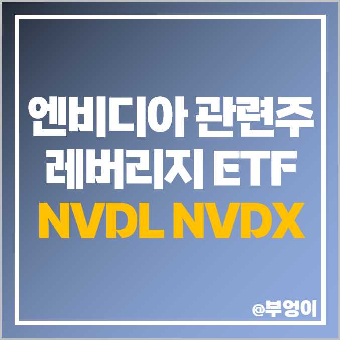 엔비디아 관련주 미국 레버리지 ETF NVDL NVDX 주가 배당 : 네이버 블로그