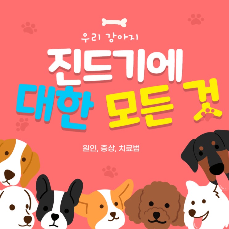 강아지 진드기에 대한 모든 것 원인 증상 치료법 네이버 블로그