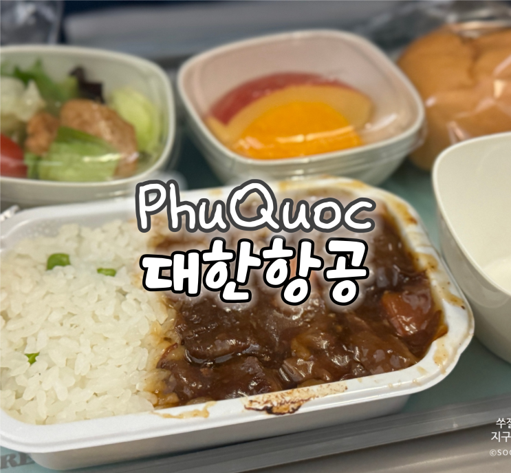 대한항공 기내식 종류 시간 영화 제공품 푸꾸옥 패스트트랙 필요할까 네이버 블로그