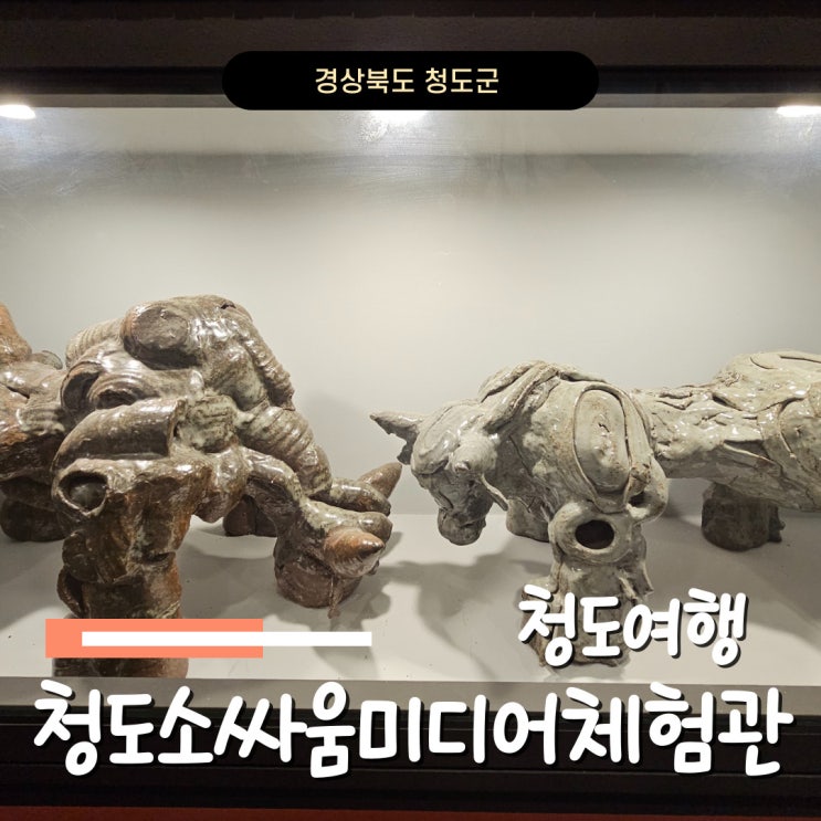 청도 여행 아이들과 가볼만한곳 청도소싸움미디어체험관 네이버 블로그