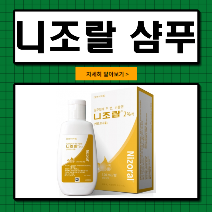 니조랄 샴푸 약국 가격 사용법 지루성 피부염 두피염 샴푸 후기 간단정리 네이버 블로그