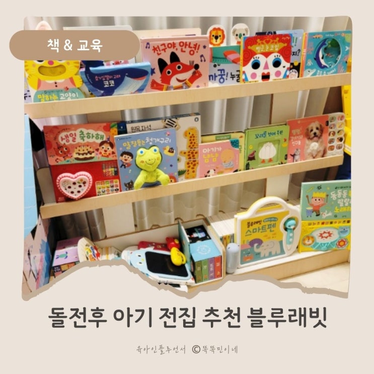신생아 전집 돌전후 아기책 추천 가성비템 블루래빗 소전집 네이버 블로그