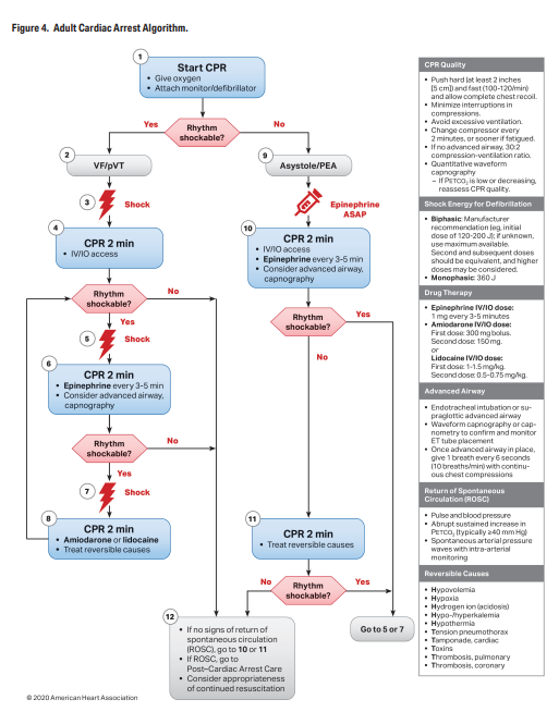 성인 CPR algorithm, 2020 AHA guideline : 네이버 블로그