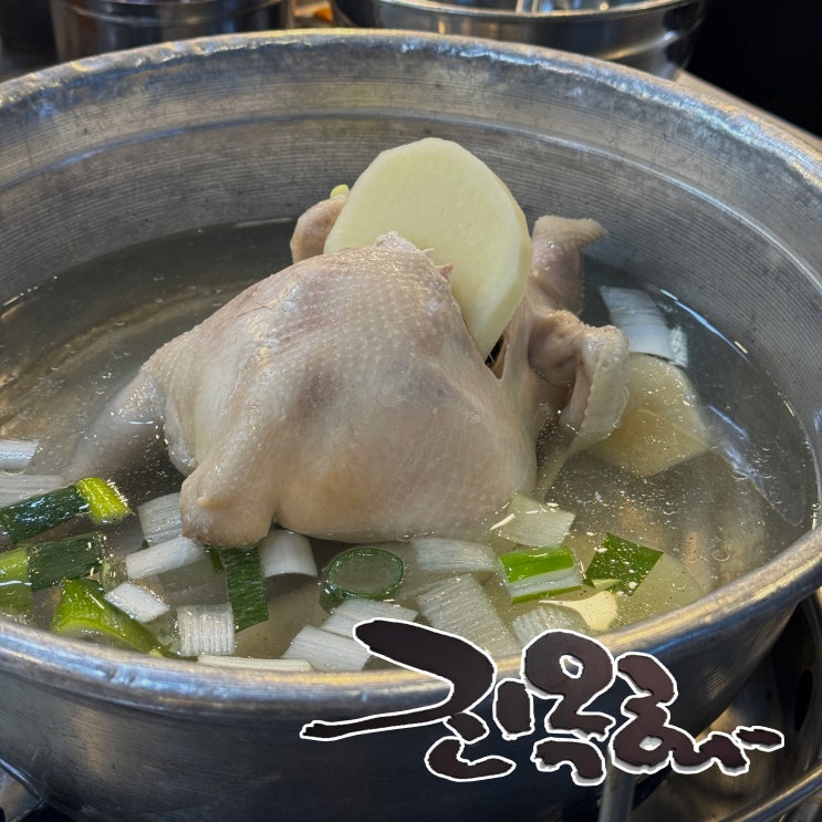 동대문 진옥화할매원조닭한마리 기분 나쁘고 싶은 날 가기 좋은 맛집주말 웨이팅과 양념장 비율 정보 네이버 블로그