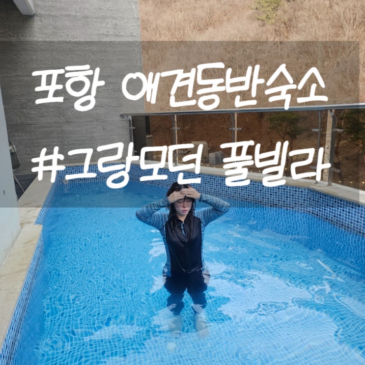 포항 애견동반숙소 그랑모던풀빌라 미온수 수영장 바베큐 후기 네이버 블로그