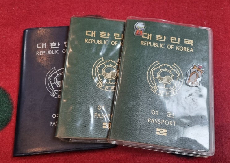 아이와 나트랑 여행준비 아이여권 재발급하기 1 여권사진 셀프로 준비하기 네이버 블로그