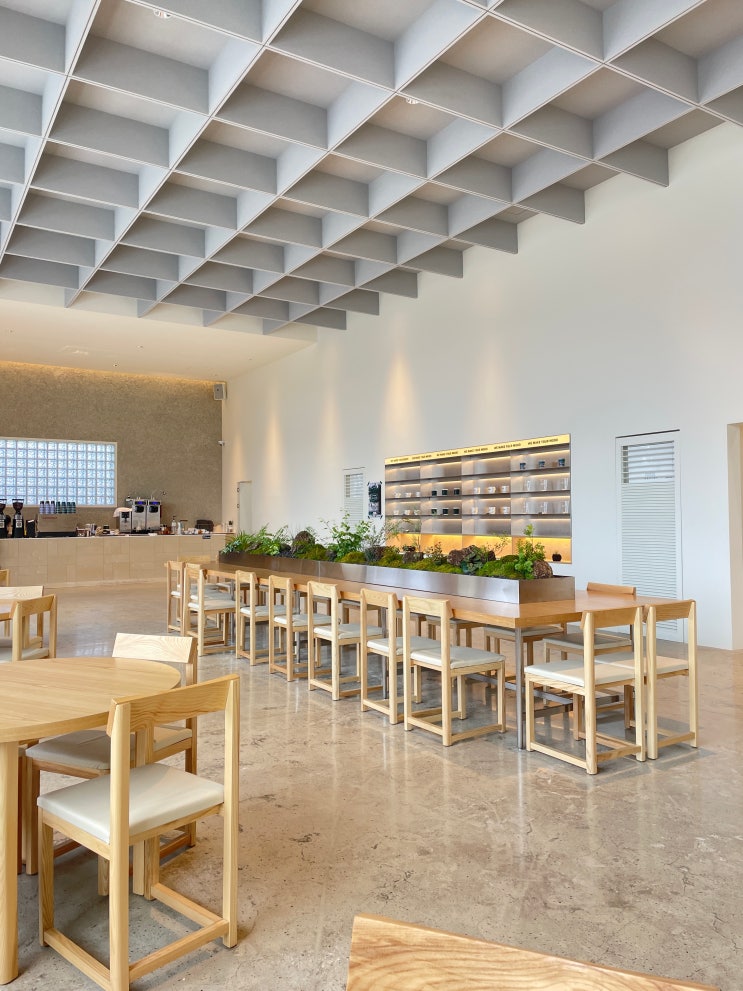 함안 샬로우커피 shallow coffee : 네이버 블로그