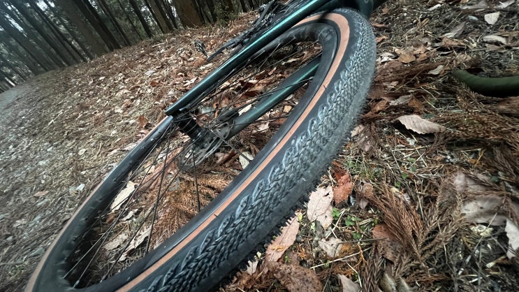 스페셜라이즈드 패스파인더 프로 그래블 타이어(Specialized Pathfinder Pro) : 네이버 블로그