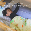 유아바디필로우 알러지케어 죽부인쿠션 침대가드겸용 브리즈우드가든 추천 네이버 블로그