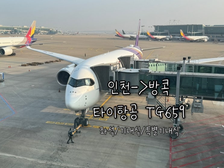 인천에서 방콕(수완나품) 타이항공 TG659 좌석/기내식/특별기내식 : 네이버 블로그