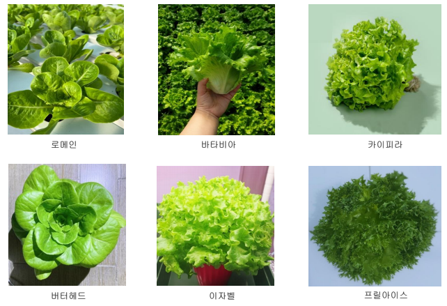 연봉 1억~ 2억 스마트팜 귀어귀농 귀촌귀산 2중 수익 아쿠아포닉스 바이오폴락 민물고기 새우 토하 미꾸라지 미꾸리 메기 장어